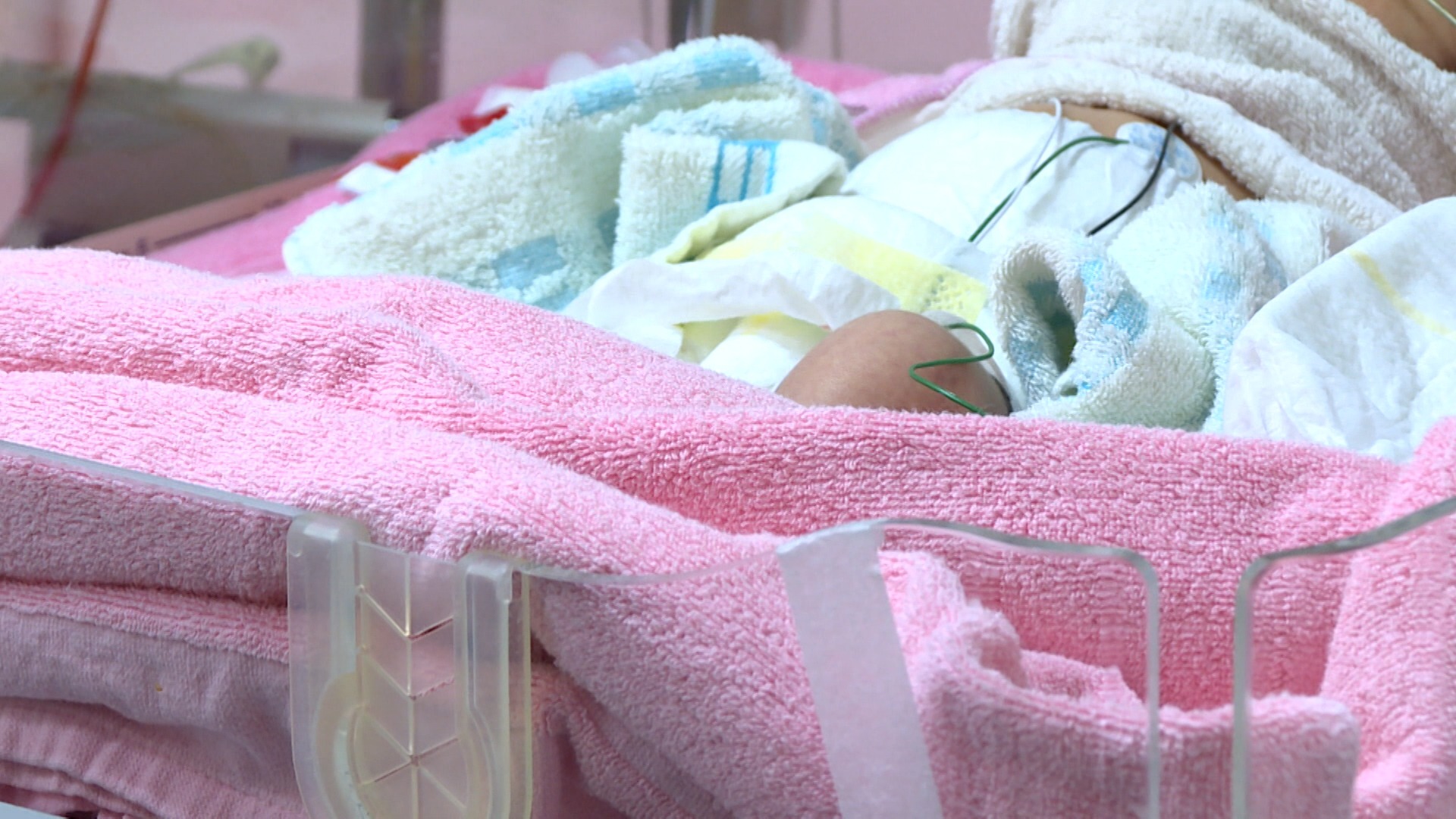 Taiwan's Centers for Disease Control Cautions Against Virus Spread ...