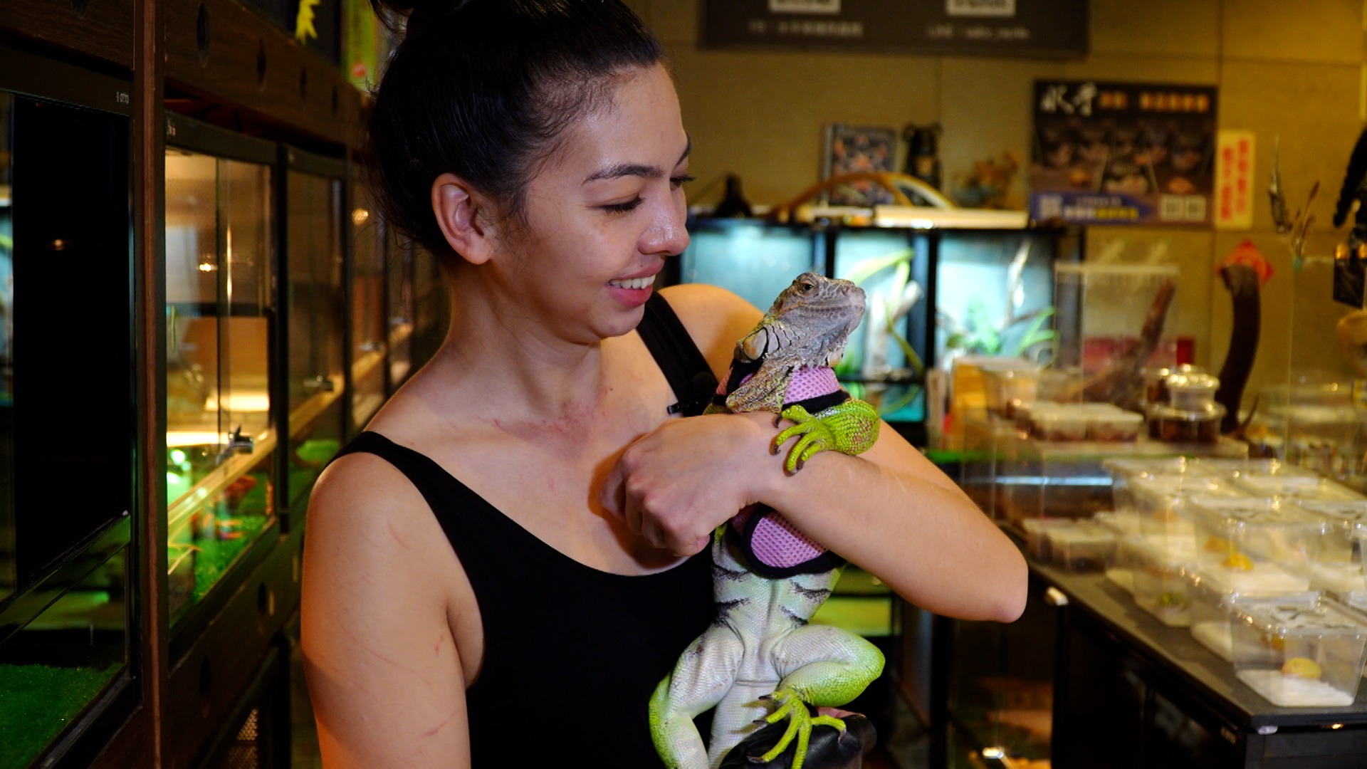 Taiwan Struggles To Control Invasive Iguanas - TaiwanPlus