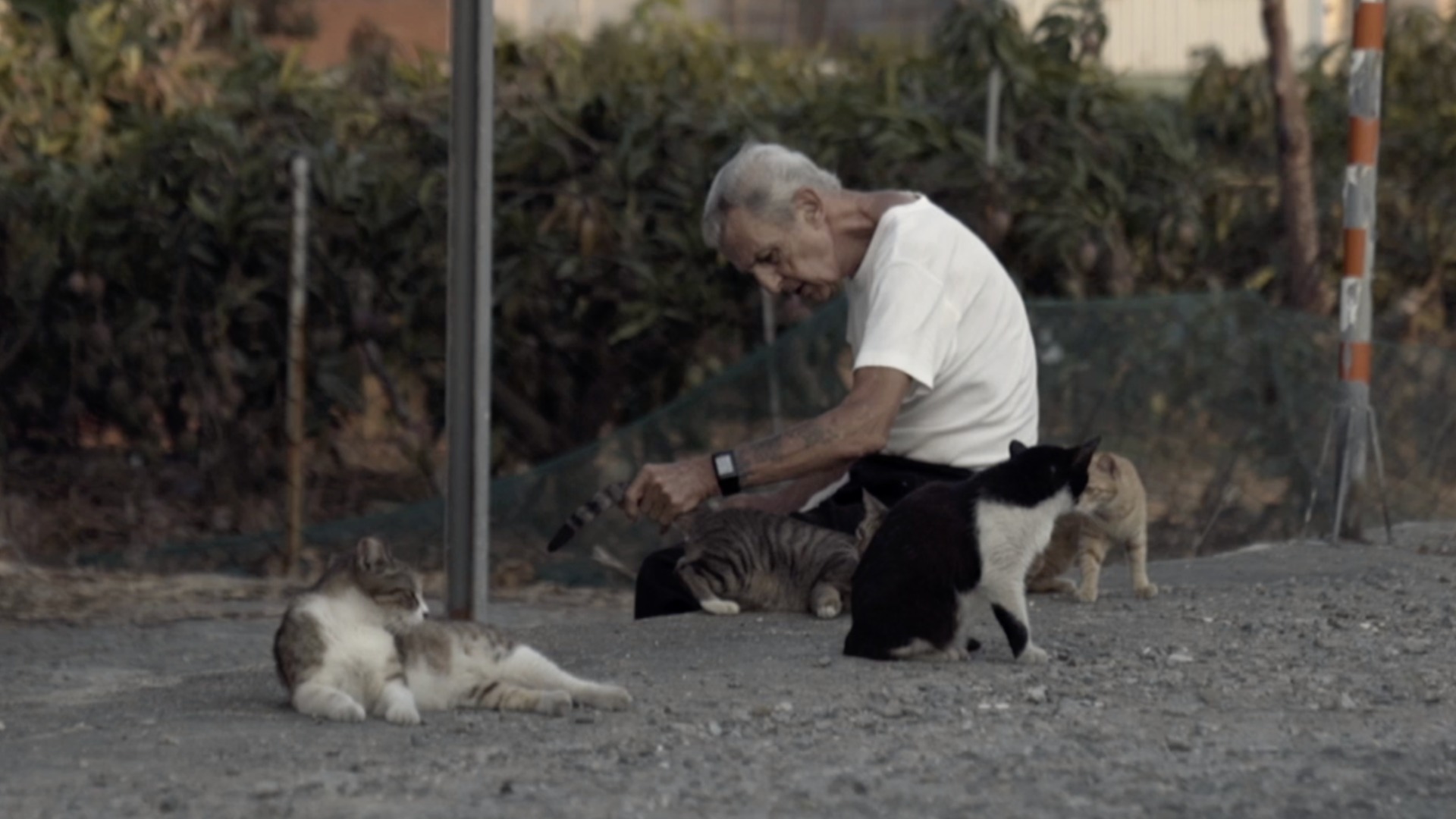 Mutalism - TaiwanPlus