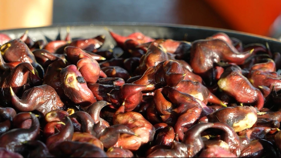 How Chestnuts Saved Lives, from Human to All Those Flying Around Them ...