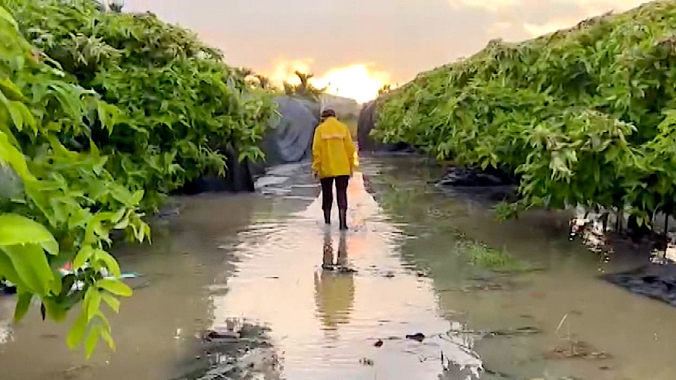 Climate and Natural Disasters - TaiwanPlus