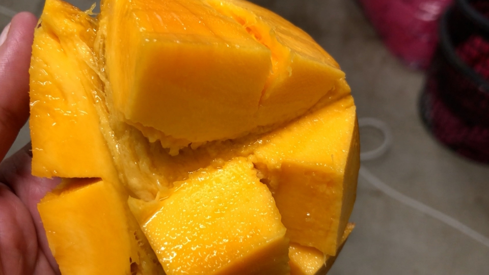 Taiwan Ranks Its Top Mangos at International Mango Festival - TaiwanPlus