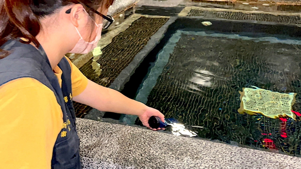 Analysis: What a Case of 'Brain-Eating Amoeba' Means - TaiwanPlus