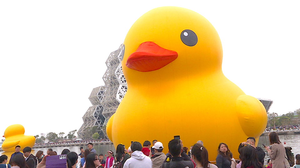 Giant Rubber Ducks Return to Kaohsiung Waters - TaiwanPlus