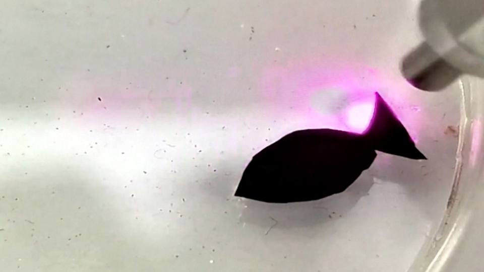 China’s Microplastic-Eating Fish Robot - TaiwanPlus