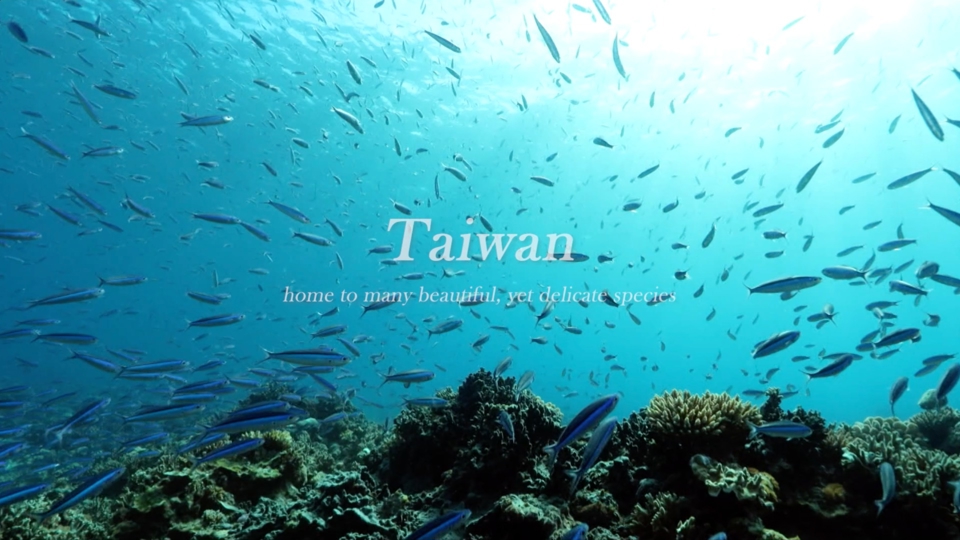 Earth Day - Taiwan's Endemic Species - TaiwanPlus
