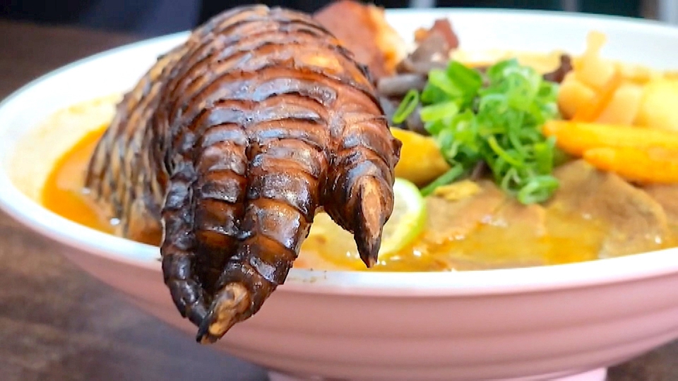 Crocodile Meat the Latest Evolution in Ramen - TaiwanPlus