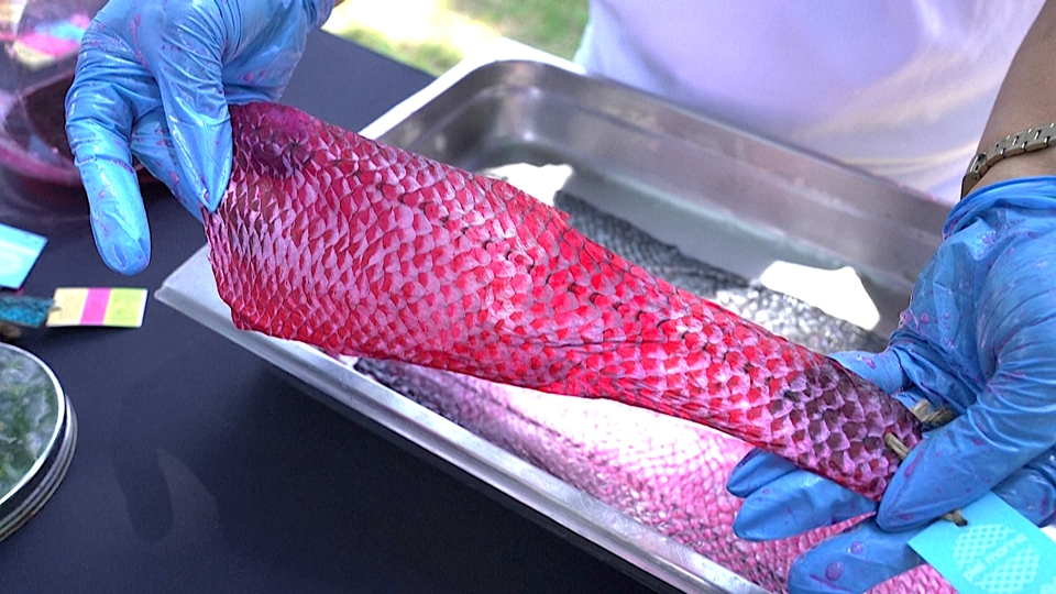 Fish-Skin Fashion Empowering Women in Costa Rica - TaiwanPlus