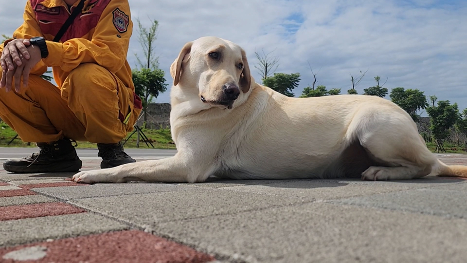 Search and Rescue Dog Team in Hualien Given New Assignment - TaiwanPlus