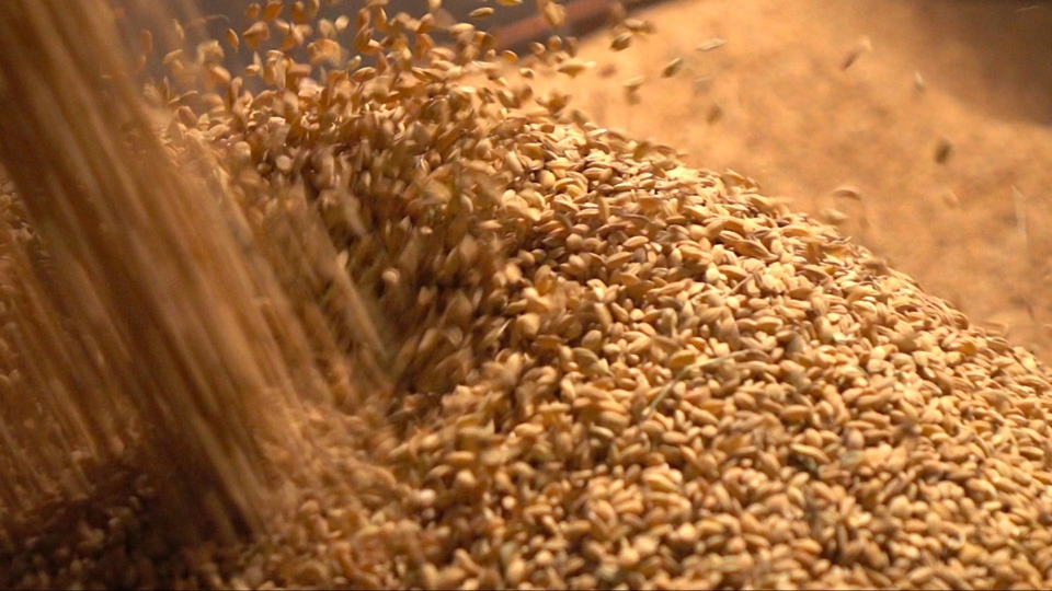 Flying Over the Hakka Village: Dig x Grow x Deepen Roots - TaiwanPlus