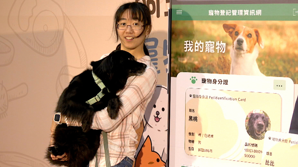 Taiwan Introduces New Animal Identification Cards - TaiwanPlus