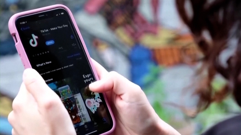 Looming US-China TikTok Deal Spurs National Security Debate in Taiwan ...