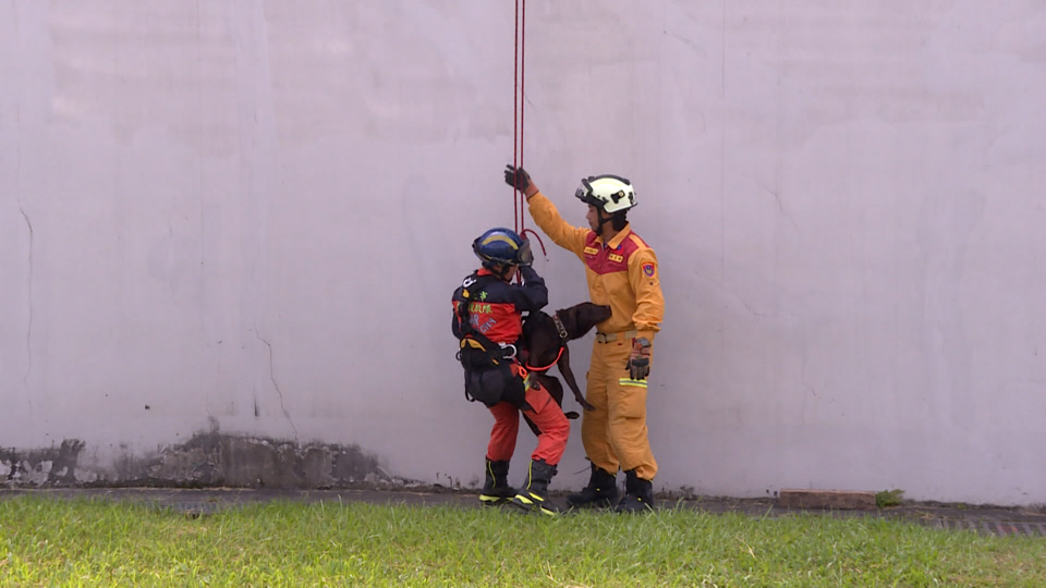 Court Rules Firefighter Height Requirement Is Unconstitutional - TaiwanPlus