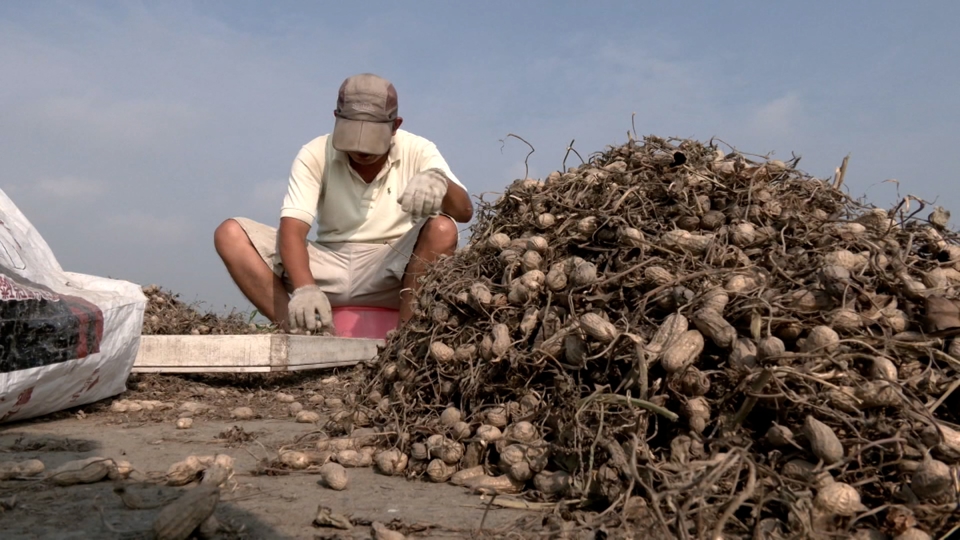 Economy - TaiwanPlus