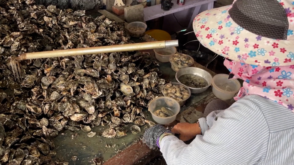 Climate and Natural Disasters - TaiwanPlus